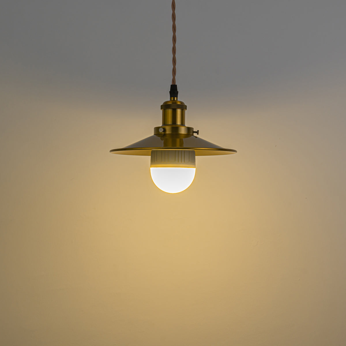 Wireless Smart RGB LED Bulbs Rechargeable Battery Remote Adjusted Cord ...